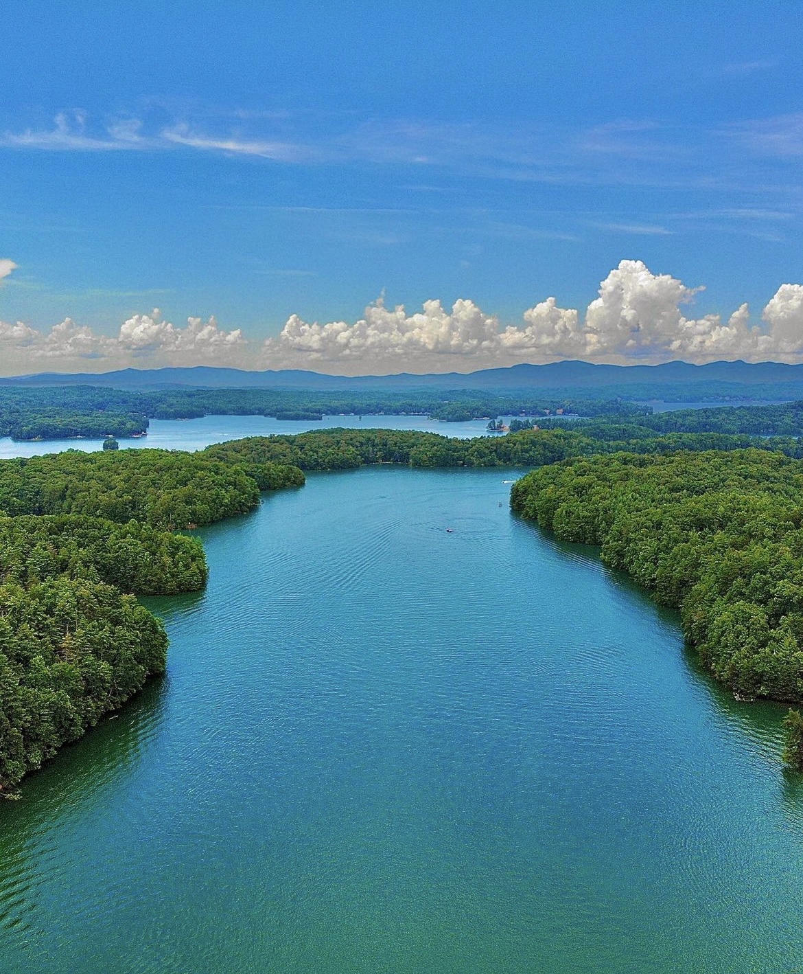 Blue Ridge Summer Lovin'